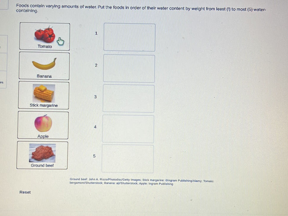 Foods contain varying amounts of water. Put | StudyX