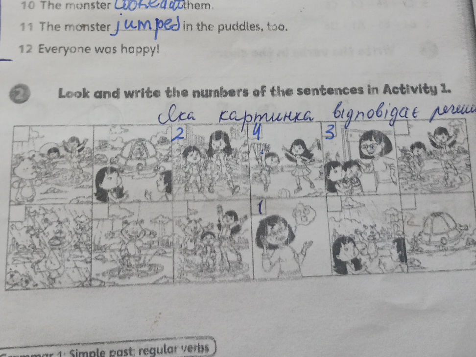 Look and write the numbers of the sentences | StudyX