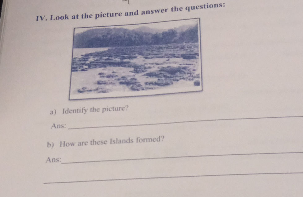 IV. Look at the picture and answer the | StudyX