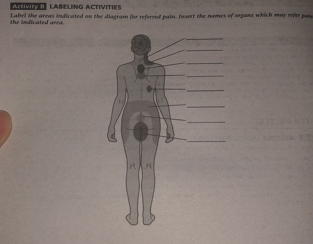 Activity B LABELING ACTIVITIES Label the | StudyX