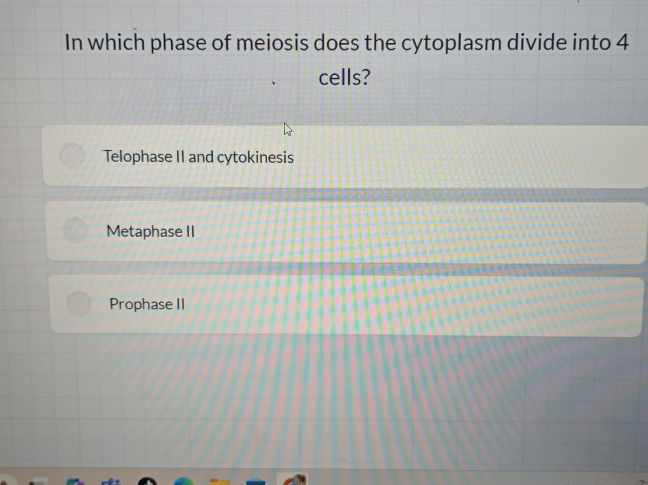 In which phase of meiosis does the cytoplasm | StudyX