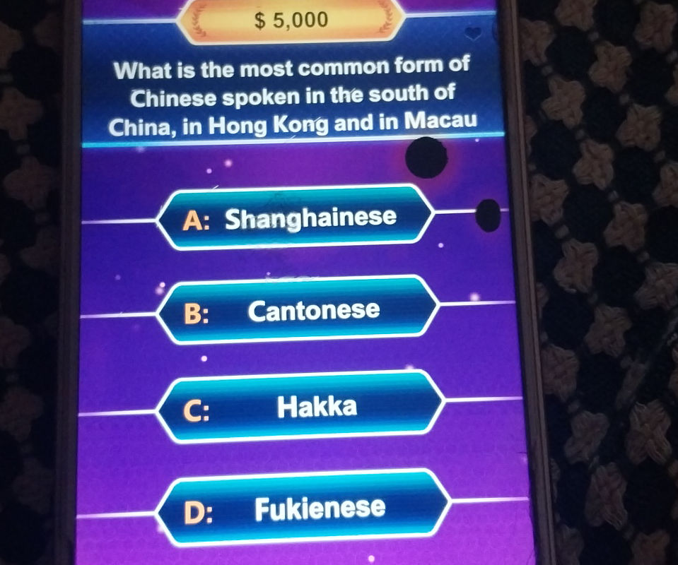 What is the most common form of Chinese | StudyX