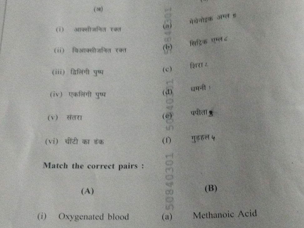 Match the correct pairs: (A) (i) Oxygenated | StudyX
