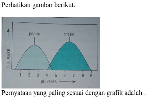 Perhatikan gambar berikut. | StudyX