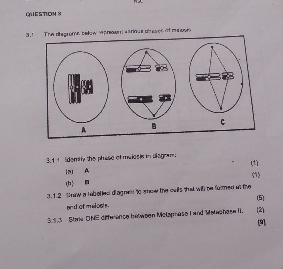 QUESTION 3 3.1 The diagrams below represent | StudyX