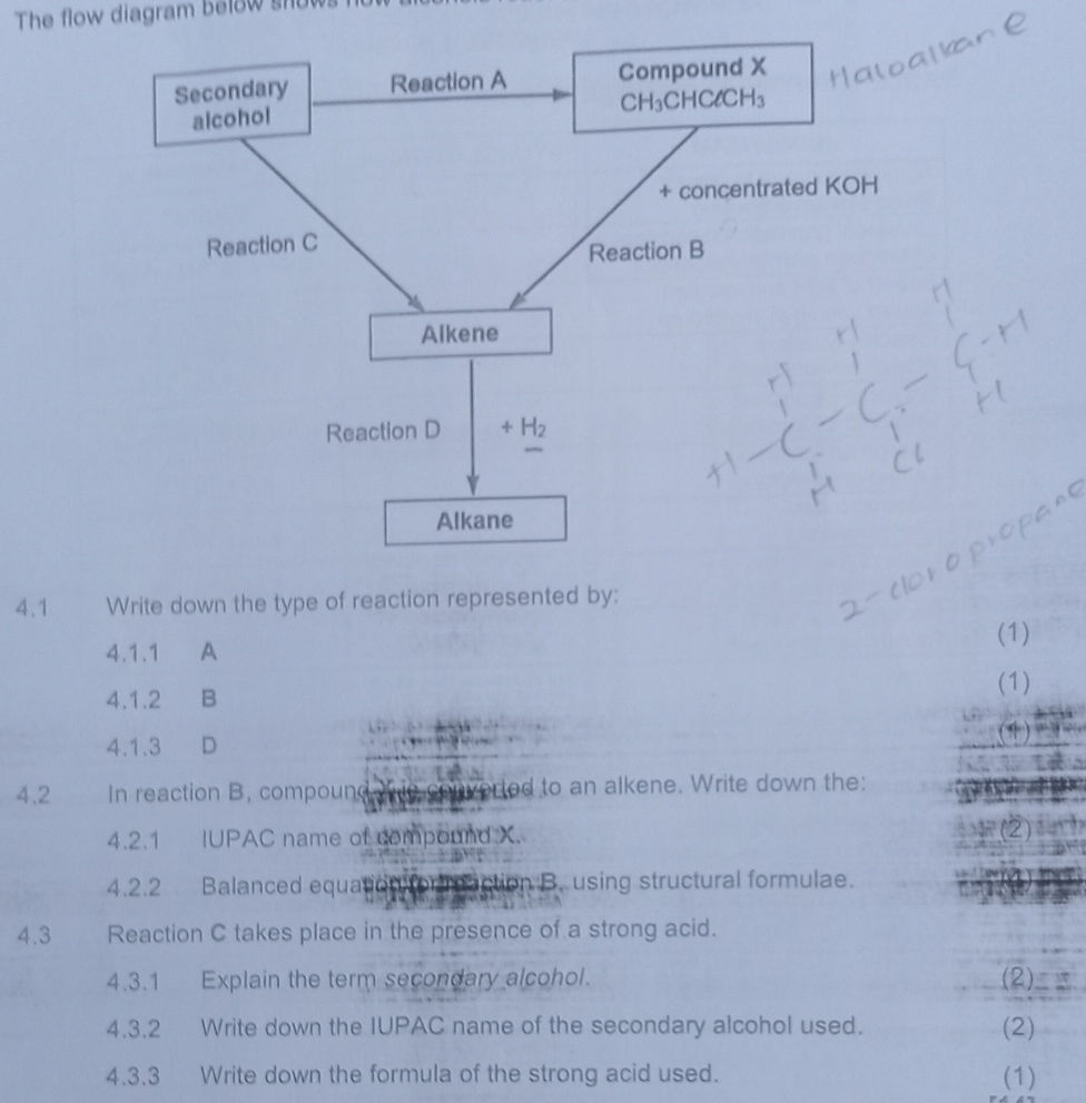The flow diagram below shows how alcohols | StudyX