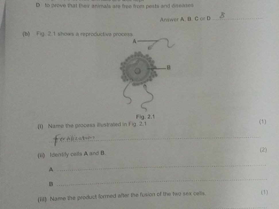 (b) Fig. 2.1 shows a reproductive process | StudyX