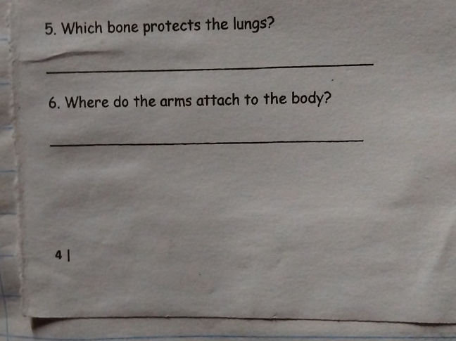 5. Which bone protects the lungs? 6. Where | StudyX