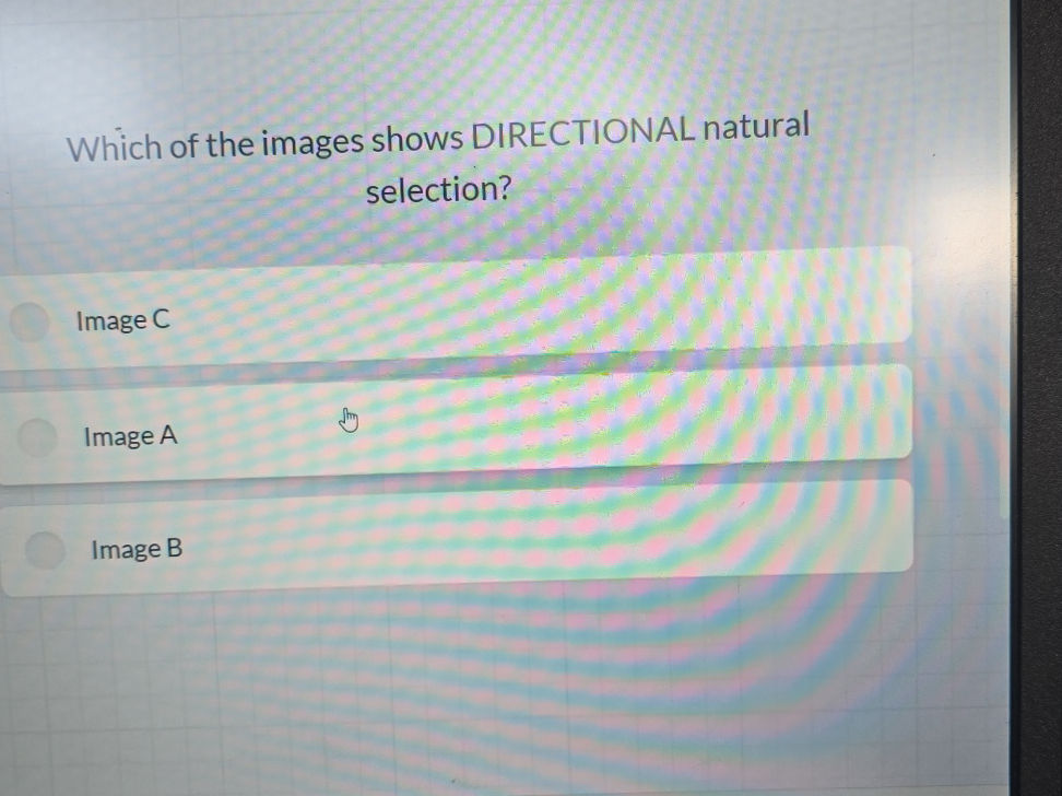 Which of the images shows DIRECTIONAL | StudyX