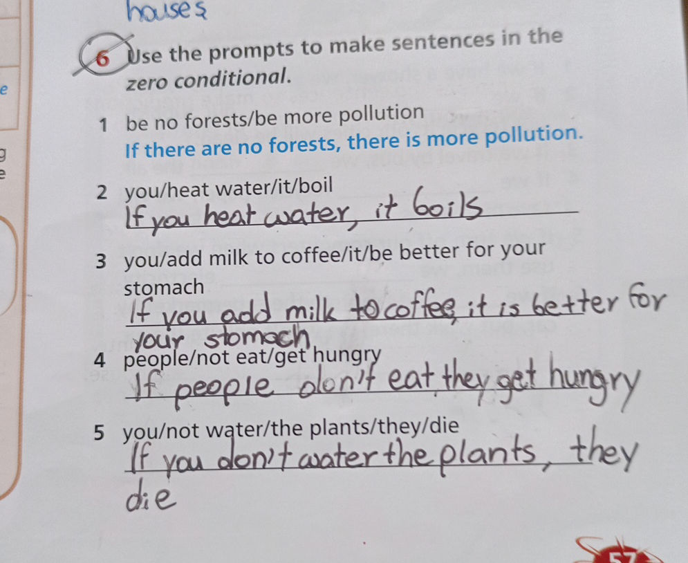 6 Use the prompts to make sentences in the | StudyX