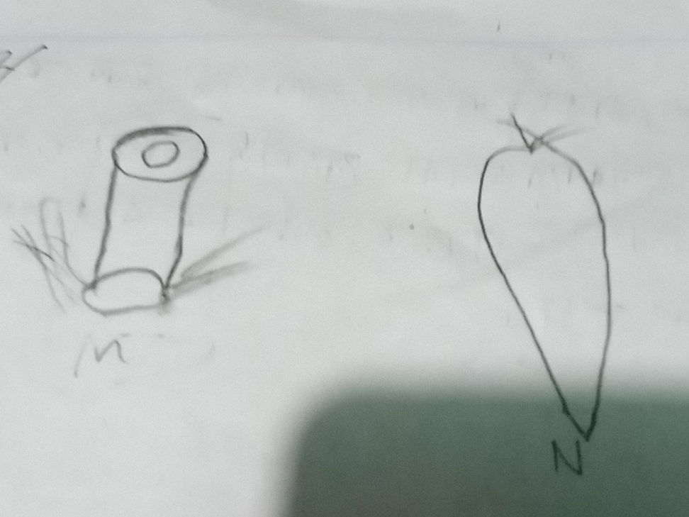 The image contains two hand-drawn diagrams | StudyX