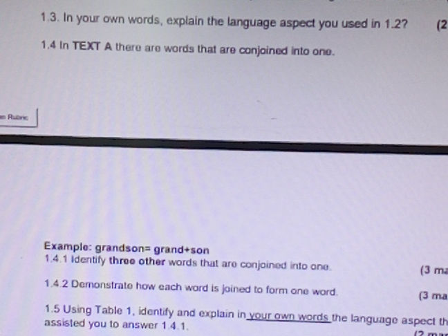 1.3. In your own words, explain the language