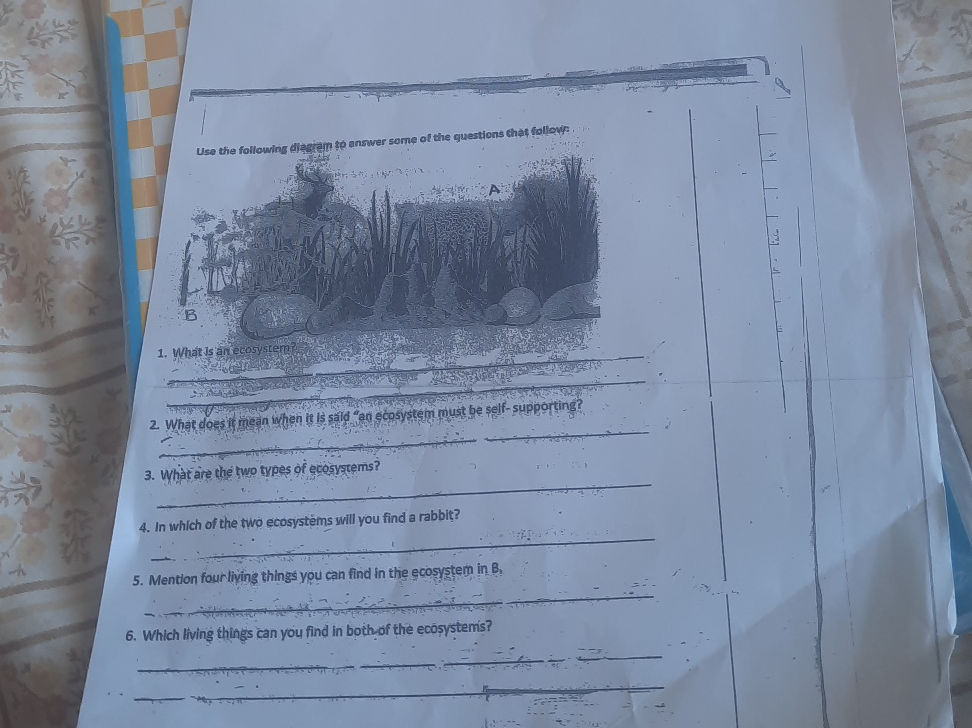 Use the following diagram to answer some of | StudyX