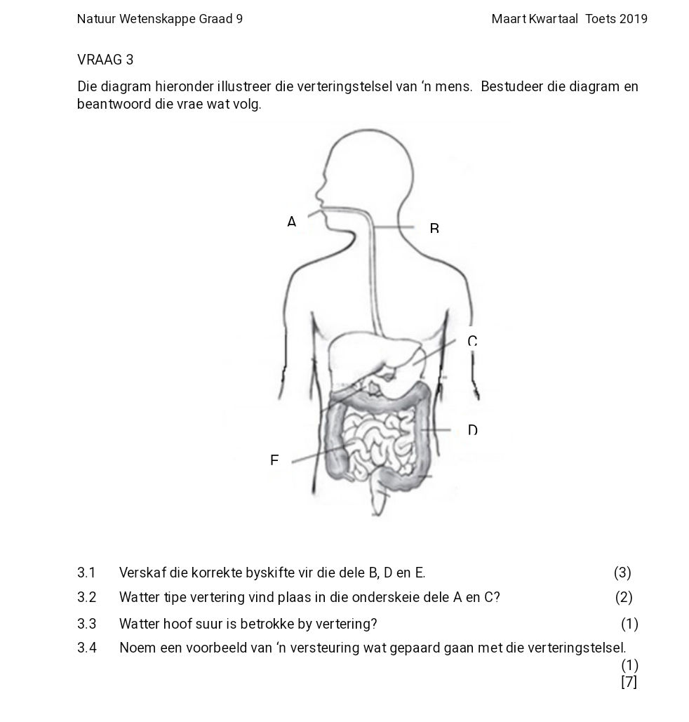 Die diagram hieronder illustreer die | StudyX