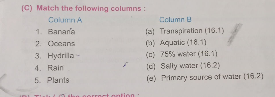 (C) Match the following columns : Column A | StudyX