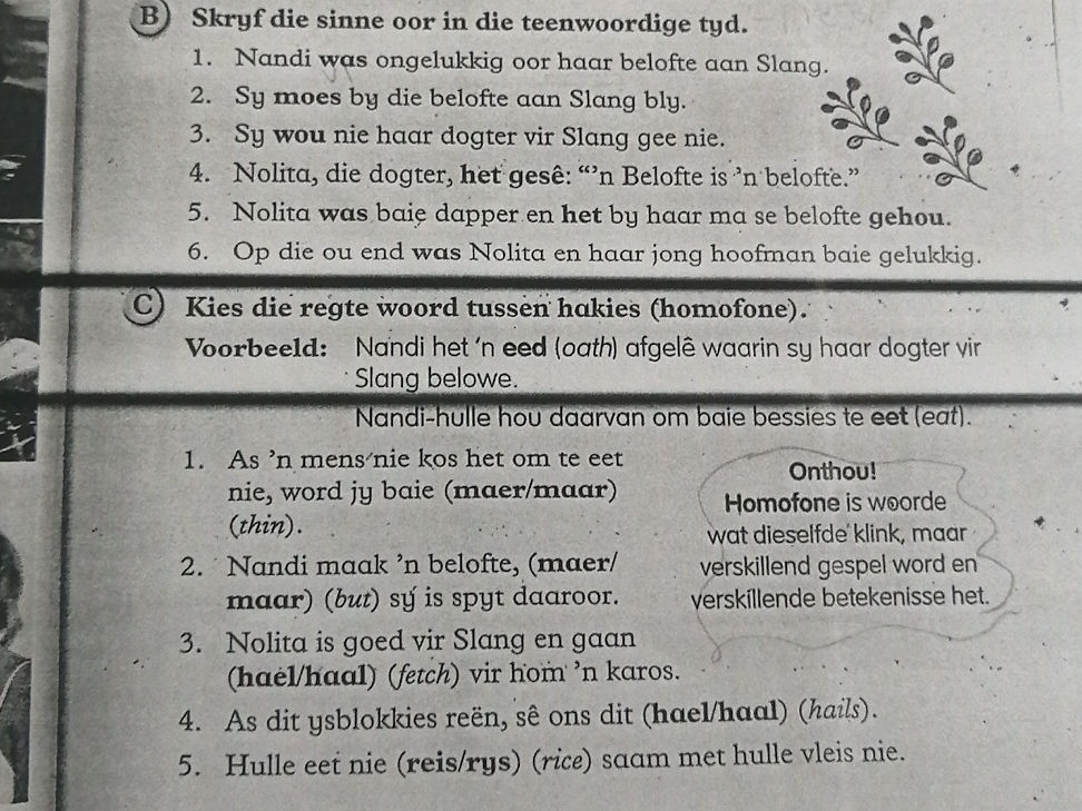 C) Kies die regte woord tussen hakies | StudyX