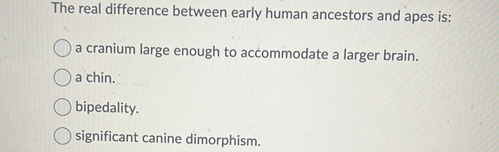 The real difference between early human | StudyX