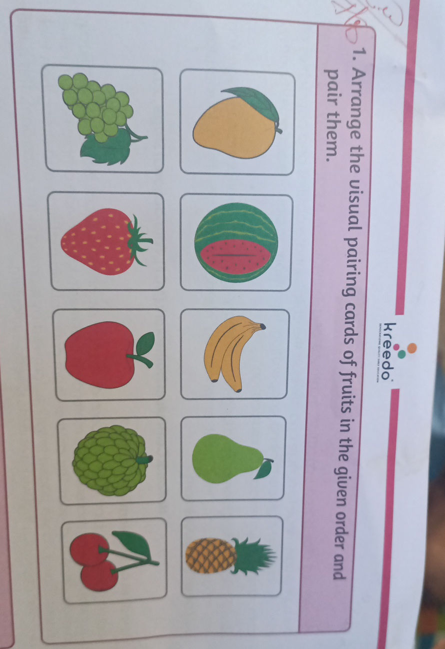 1. Arrange the visual pairing cards of | StudyX