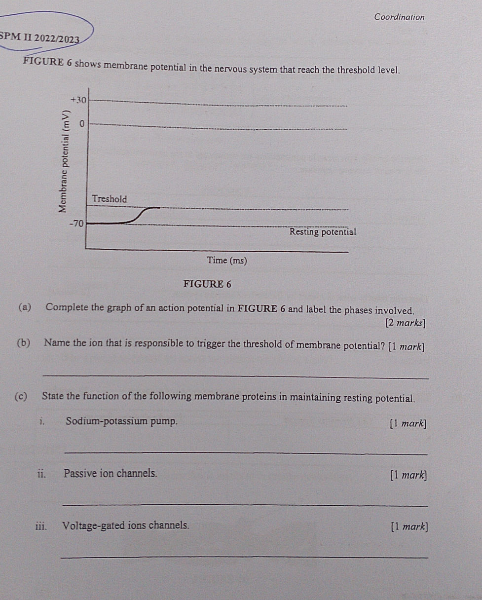 FIGURE 6 shows membrane potential in the | StudyX