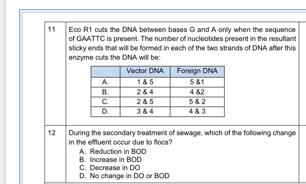 11. Eco R1 cuts the DNA between bases G and | StudyX