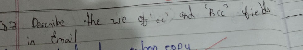 3. Describe the use of 'cc' and 'Bcc' | StudyX