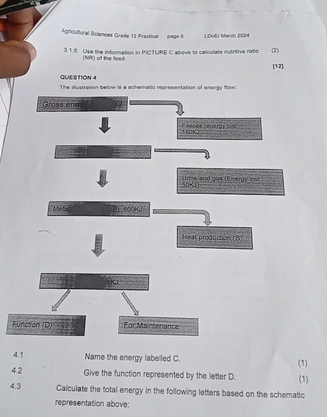 The illustration below is a schematic | StudyX