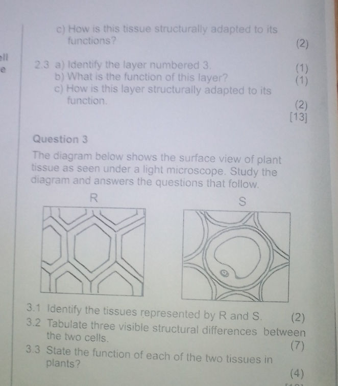 Question 3 The diagram below shows the | StudyX