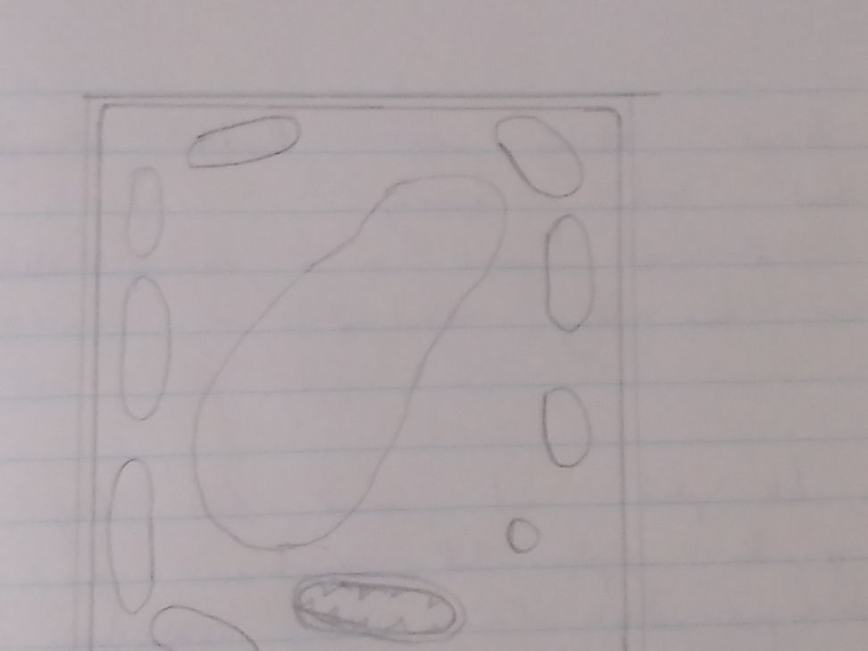 The image shows a cell diagram with various | StudyX