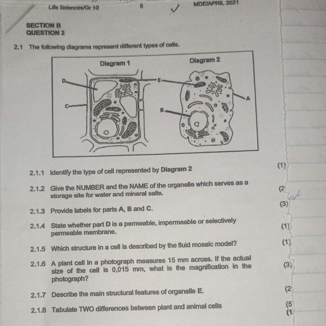 2.1 The following diagrams represent | StudyX