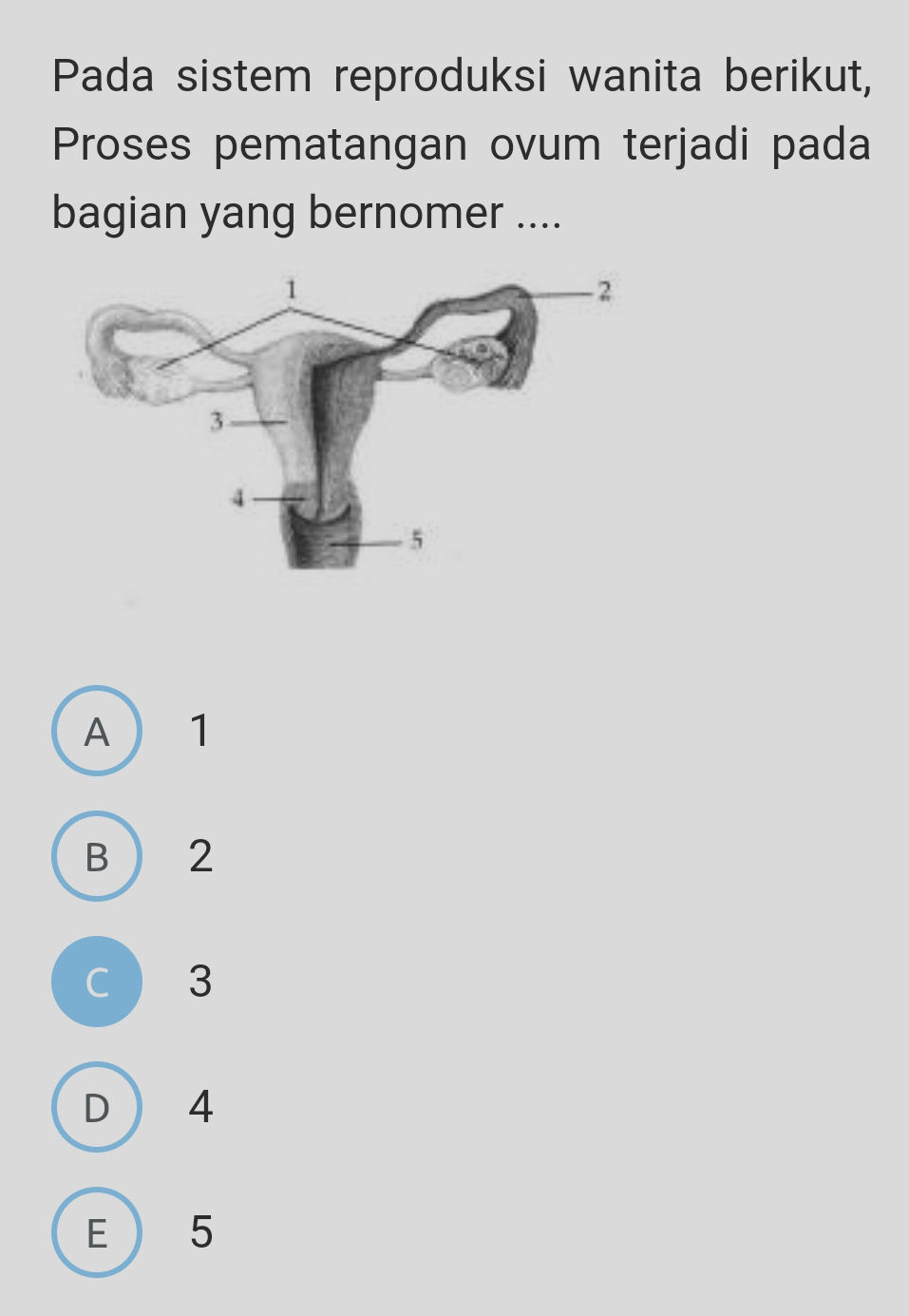 Pada sistem reproduksi wanita berikut, | StudyX