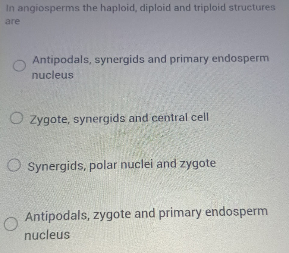 In angiosperms the haploid, diploid and | StudyX
