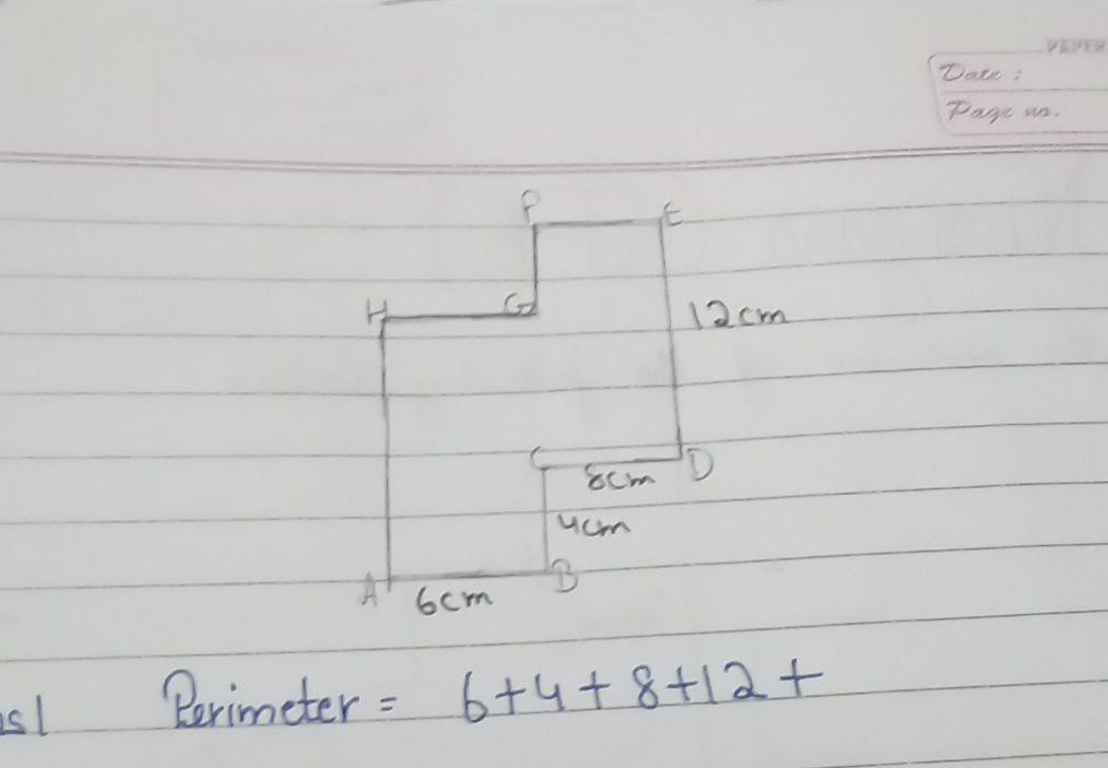 Calculating the Perimeter of a Complex Shape | StudyX