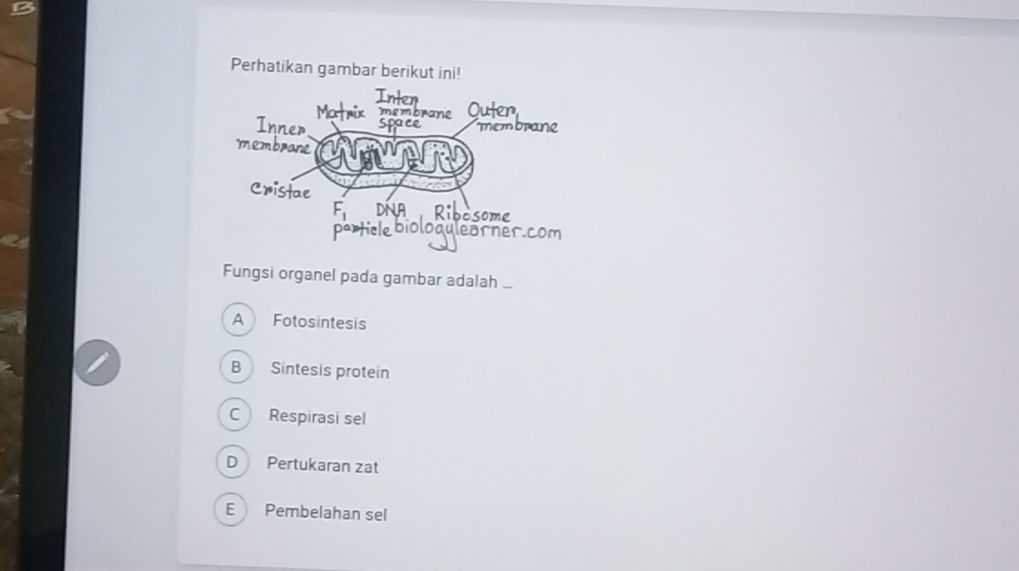 Perhatikan gambar berikut ini! Fungsi | StudyX