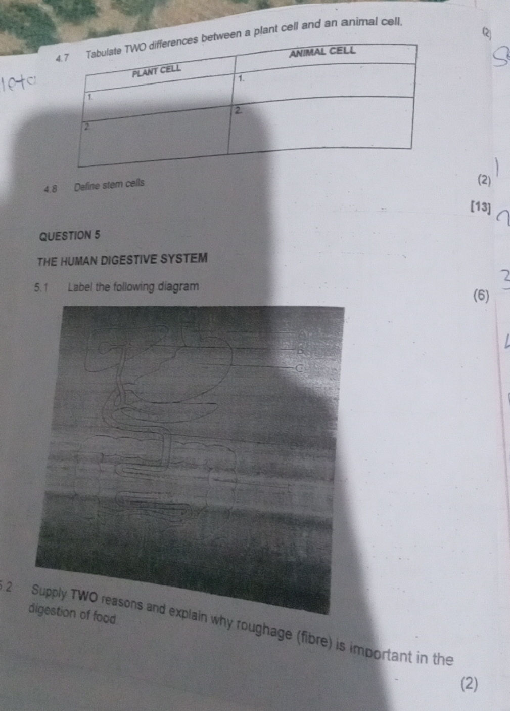 4.7 Tabulate TWO differences between a plant | StudyX