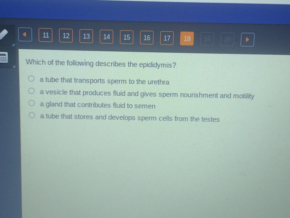 Which of the following describes the | StudyX