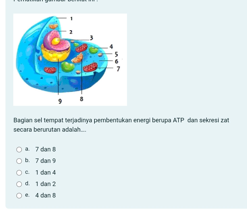 Bagian sel tempat terjadinya pembentukan | StudyX