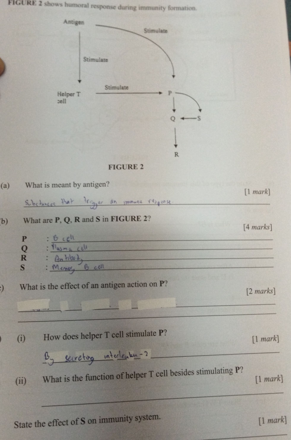 FIGURE 2 shows humoral response during | StudyX