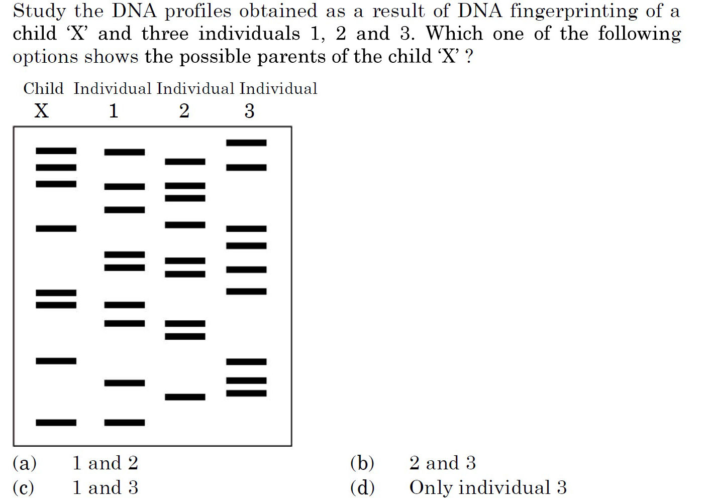 Study the DNA profiles obtained as a result | StudyX