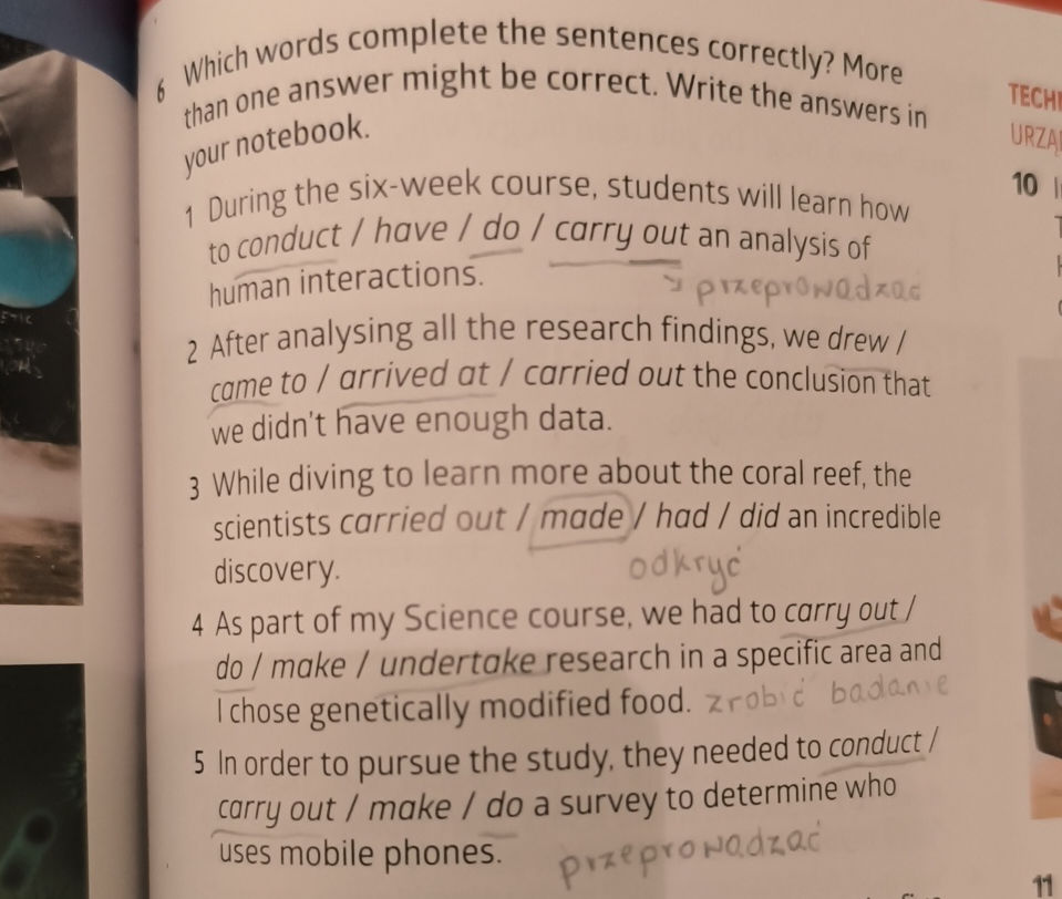 6 Which words complete the sentences | StudyX