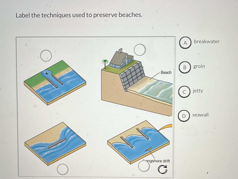 Label the techniques used to preserve | StudyX