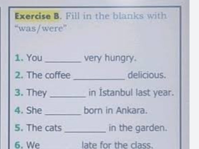 Exercise B. Fill in the blanks with | StudyX