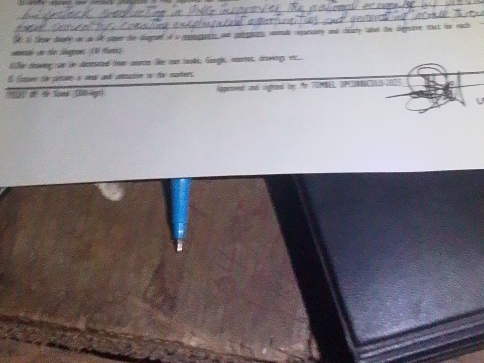 (a) Draw clearly on an A4 paper the diagram | StudyX