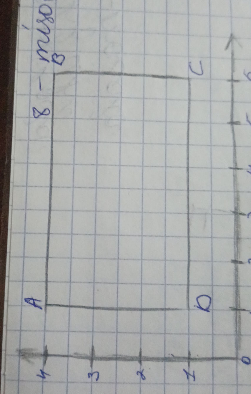 The image shows a rectangle on a grid. The | StudyX