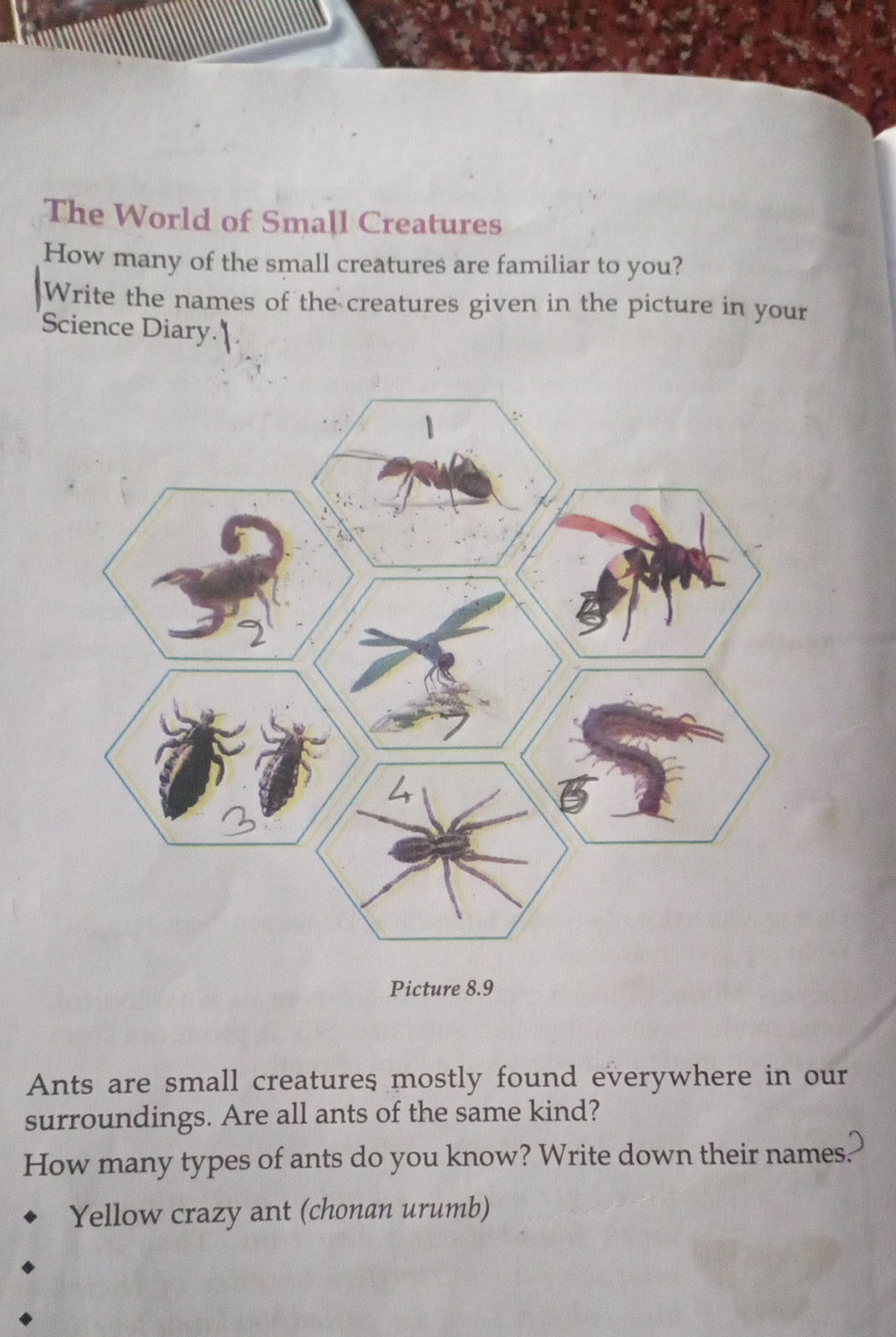 How many of the small creatures are familiar | StudyX