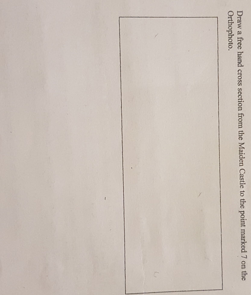 Draw a free hand cross section from the | StudyX