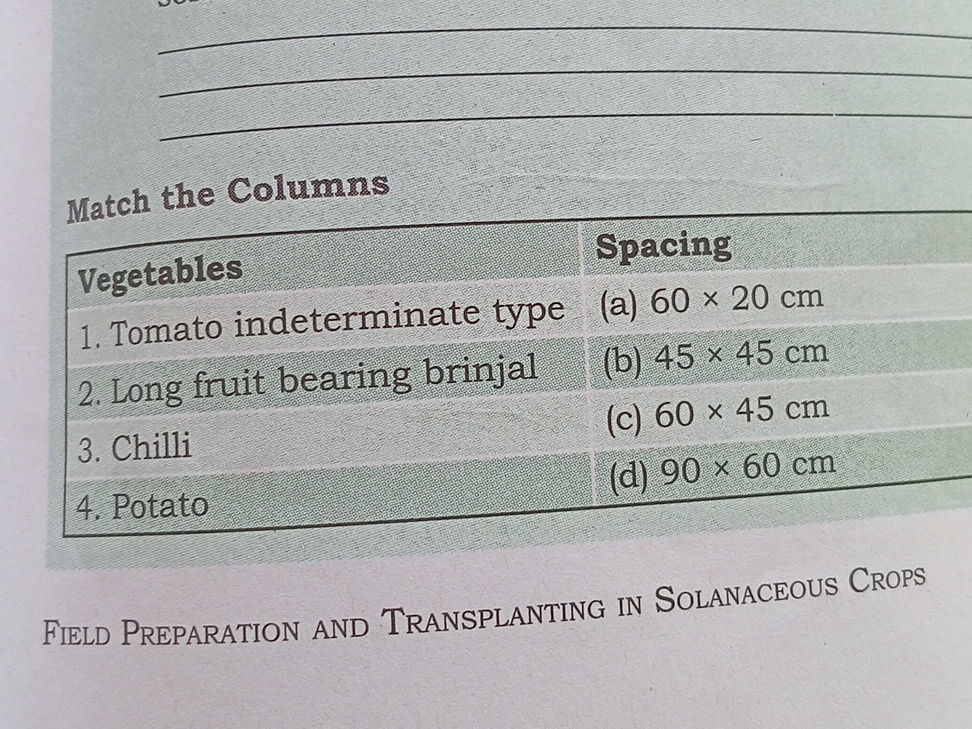 Match the Columns | Vegetables | Spacing | | StudyX