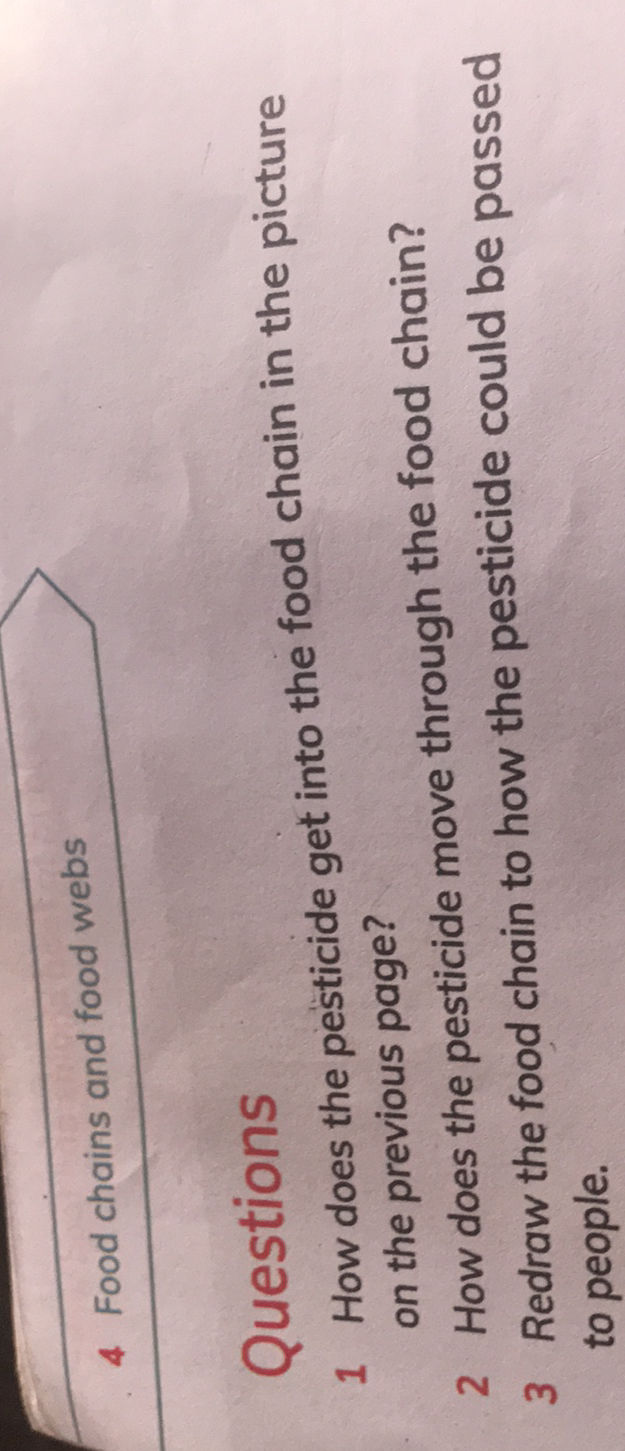 4 Food chains and food webs Questions 1 | StudyX