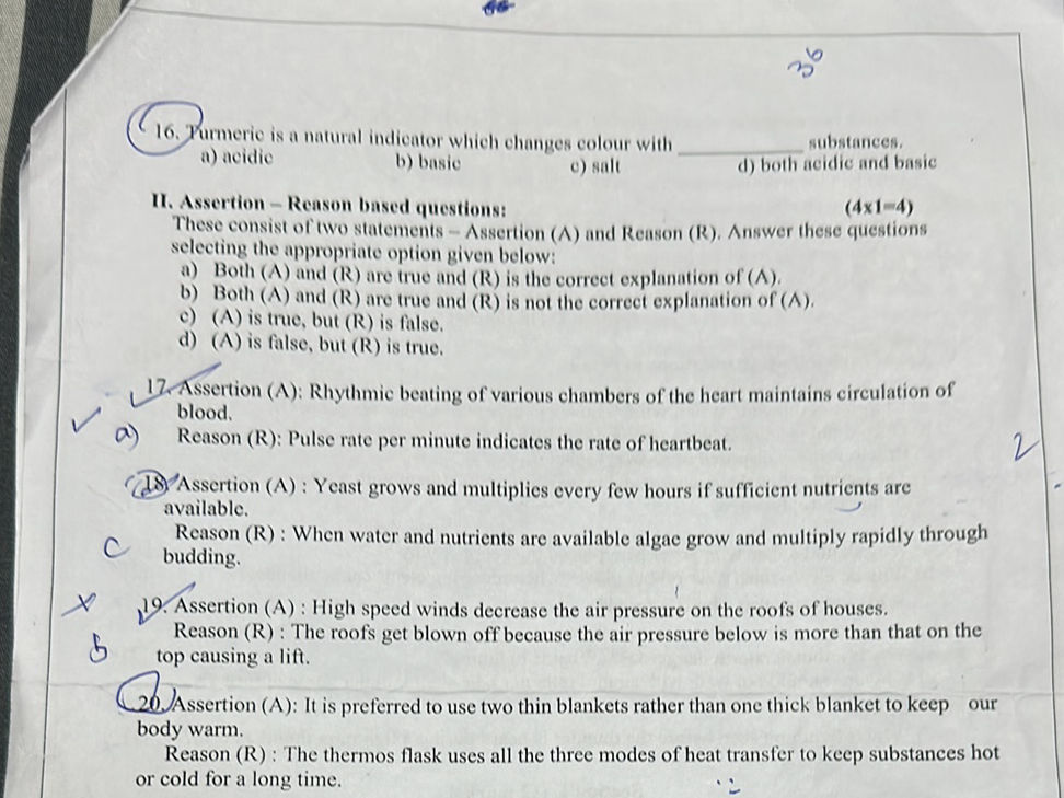 16. Turmeric is a natural indicator which | StudyX