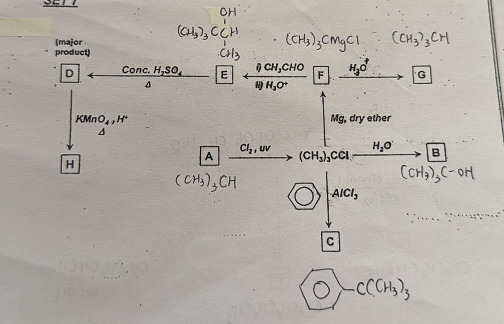 The image shows a reaction scheme. The | StudyX