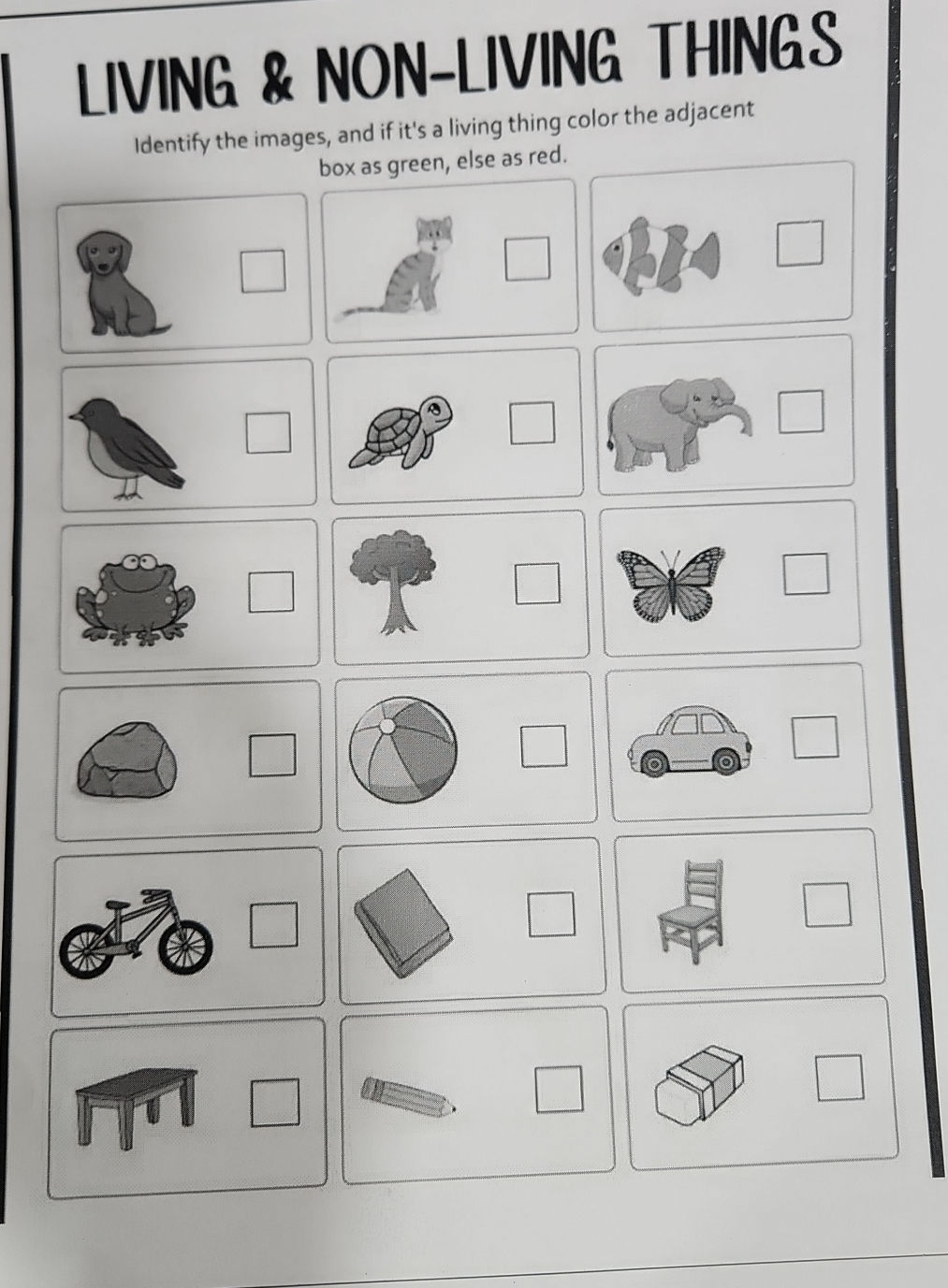 LIVING NON-LIVING THINGS Identify the | StudyX